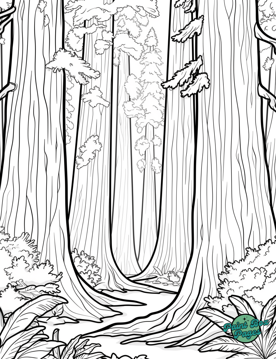Redwood Forest Coloring Pages